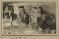 KITLV A966 - Balinese vrouw | Digital Collections